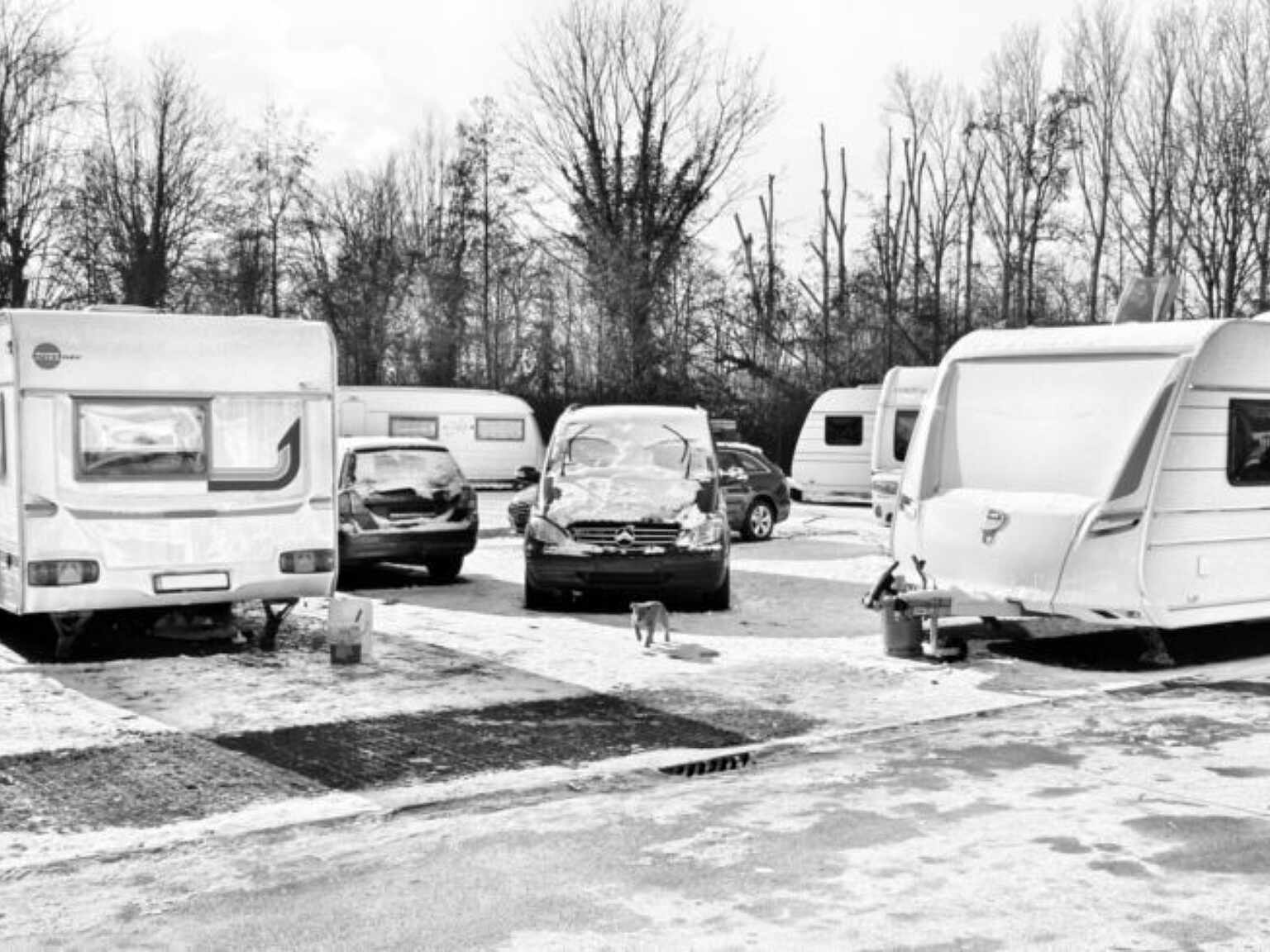 Podcast: Mijn thuis is onderweg | Amal